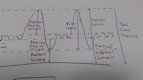 Respiratory Capacity Explained In Simple Spirogram Youtube