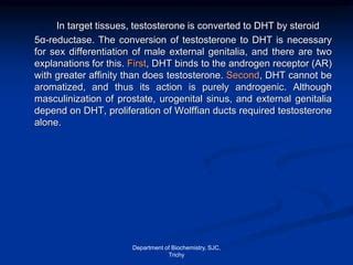 Sex Determination And Differentiation Ppt