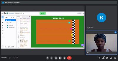 TURTLE RACE PYTHON Tinker Education