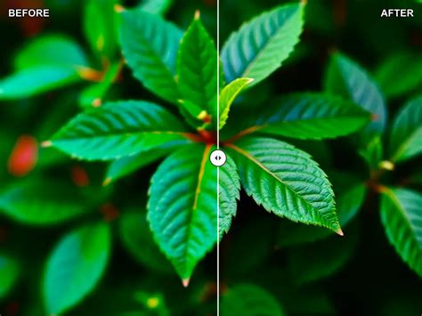 Ai Image Enhancer Enhance Photos With Ai