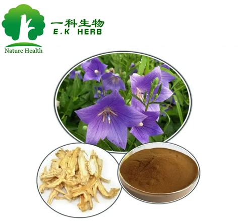 Kikyou Campanulaceae Radix Platycodonis Root Platycodon Grandiflorum Extract Powder Herbal
