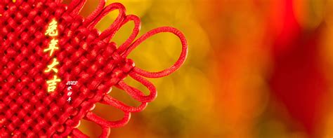 泰康人寿四川分公司bip报表系统