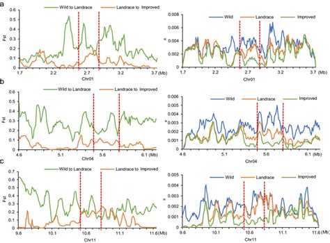 Selection Signals On Candidate Genomic Region Of Loci Identified For