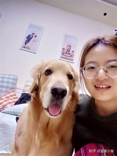 人宠物合照 宠物照片真实 3 伤感说说吧