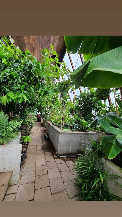 Хүлэмж Дээврийн Термопластик Поликарбонат Тунгалаг хавтан Added A New Photo — At Шинэ зуун айл