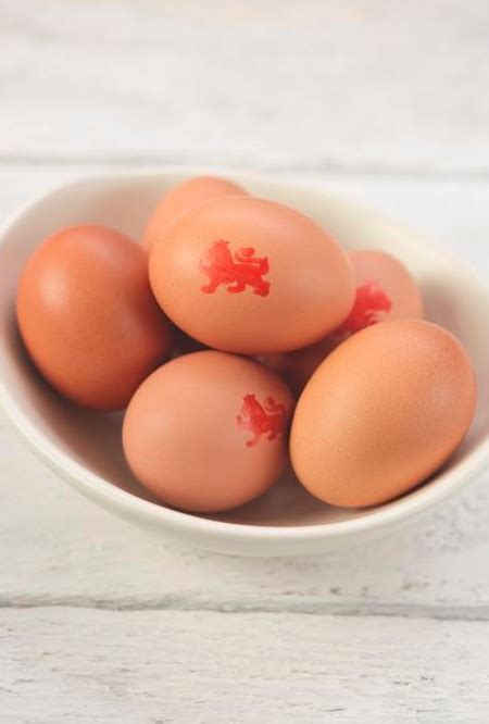 British Lion Eggs Welcomes Fsa Import Warning