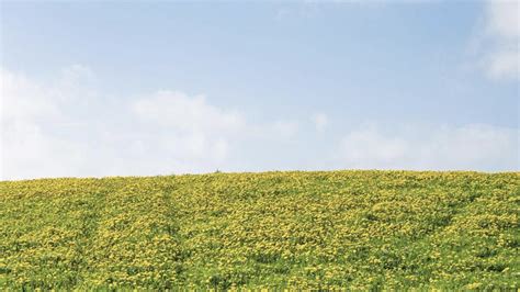 Javascript 关于form表单多文件上传的3种方式 知乎 Javascript 关于form表单多文件上传的3种方式 知乎