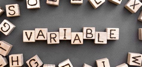 Variables Cualitativas Definición Tipos Y Aplicaciones Marketeros Latam