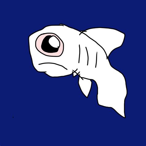 Albino Cyclops Shark Adrienne By New Lewisland On Deviantart