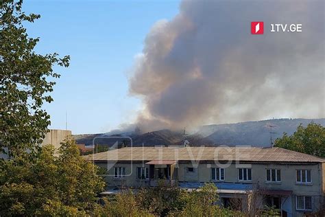 შავნაბადას ტყეში ხანძარია 1tv