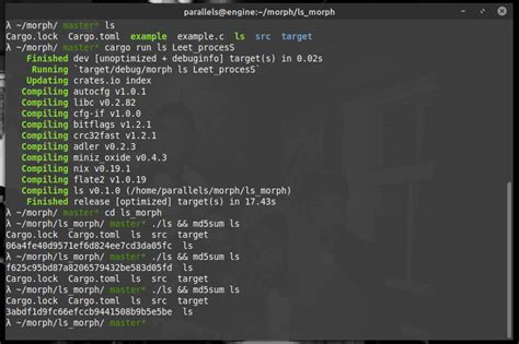 GitHub Vidner Morph Polymorphic ELF Runtime Crypter Written In Rust