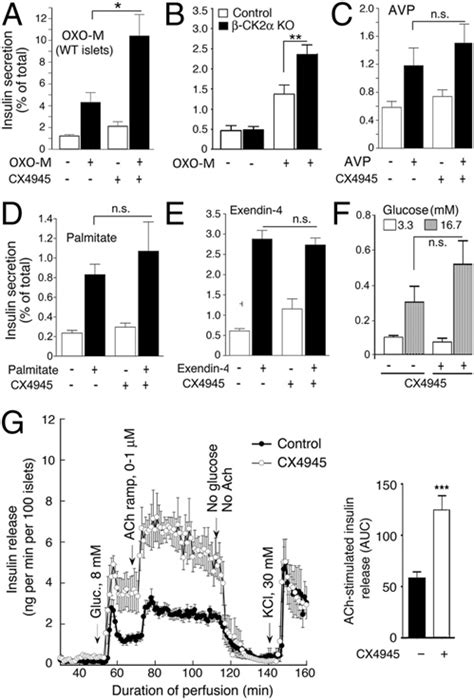 CK2 inhibition or CK2α deletion selectively increases M3R mediated