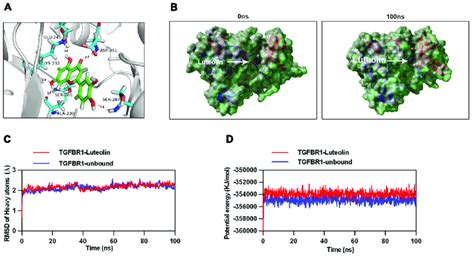 Molecular Docking And Simulation Of The Molecular Dynamics A