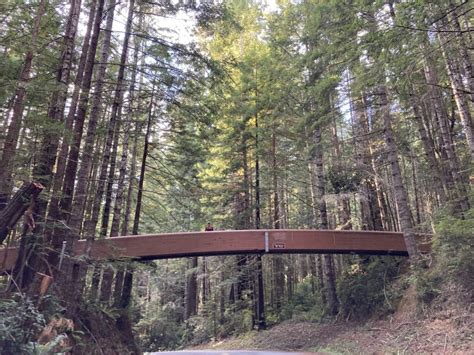 The Perfect Weekend Itinerary How To Explore Redwood National Park In