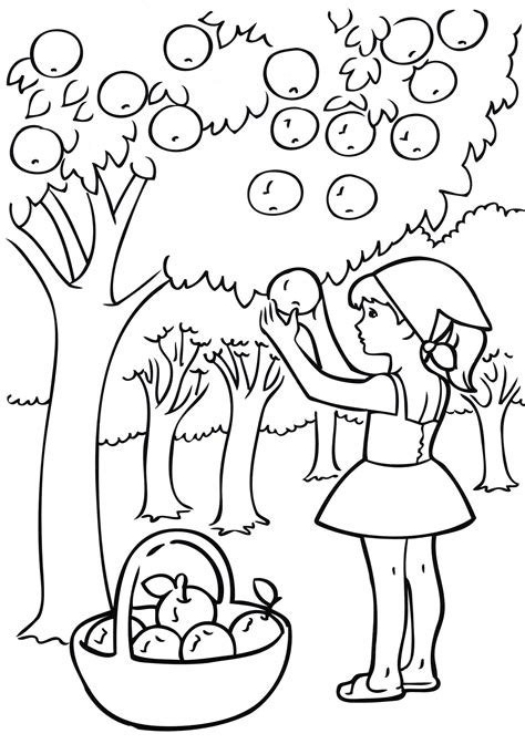 Розмальовка фруктів