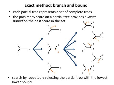 PPT Parsimony Based Algorithms For Phylogenetic Tree Construction PowerPoint Presentation ID