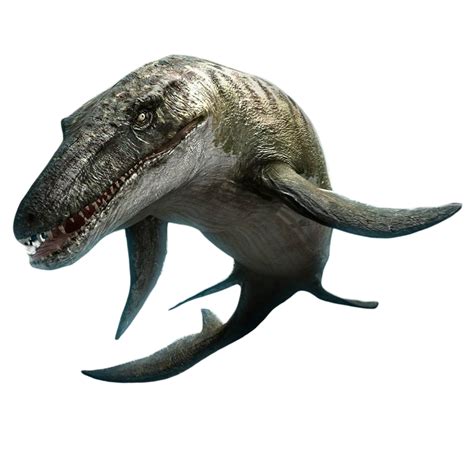 Mosasaurus Jurassic Park Wiki Fandom