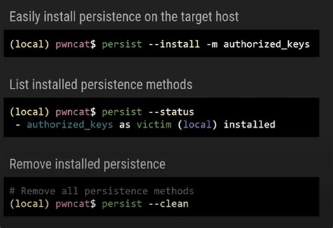 November 2021 Cyberwiki Encyclopedia Of Cybersecurity