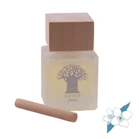 Wooden Top Diffuser Green Fig 160ml Friedman And Cohen