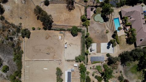 What Is DINOv A Deep Dive