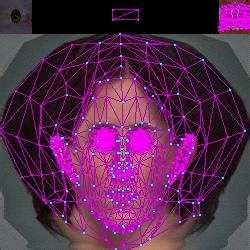 Texture Coordinate Fitting Download Scientific Diagram