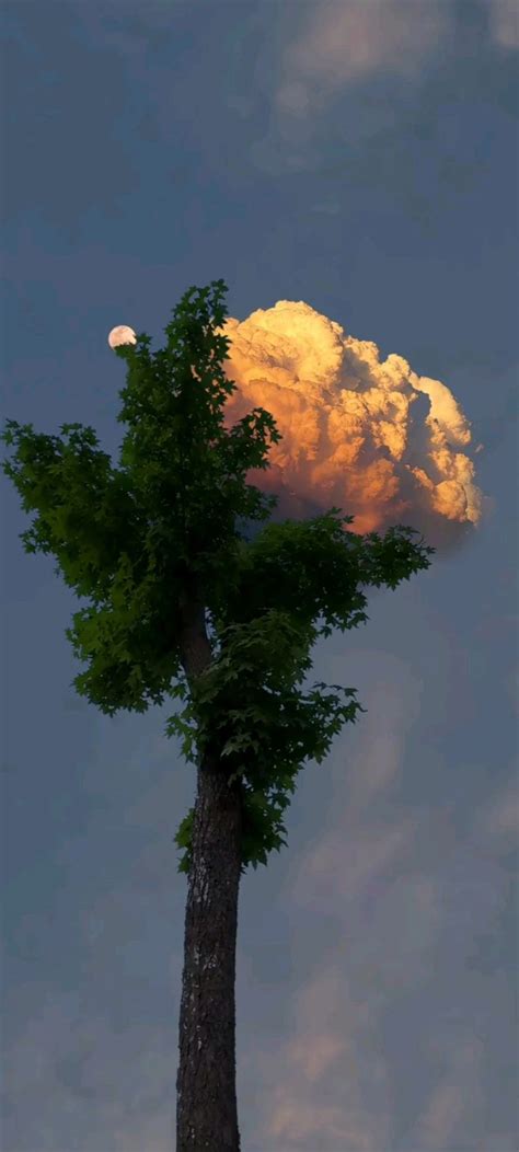 Talentacquisition Hrexcellence Interviewing Professionalgrowth