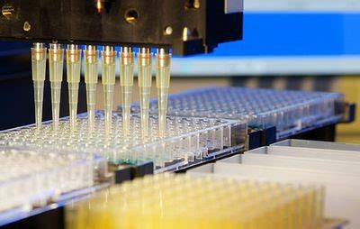 High Throughput Screening Services Creative Bioarray