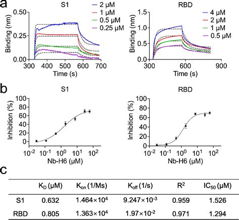Figure 1 From A Naïve Phage Display Library Derived Nanobody