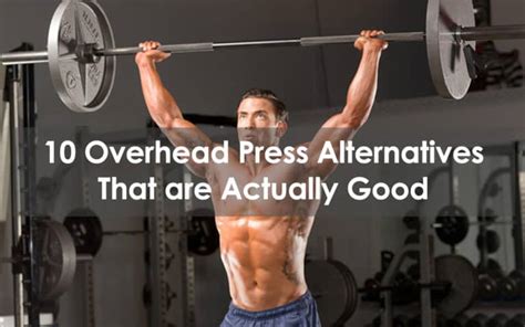 Best Seated Cable Row Alternatives No Machines