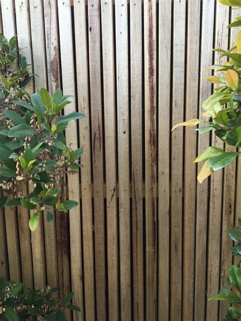 Pin By Dale C Bromley On Studio Cladding Outdoor Plants Outdoor