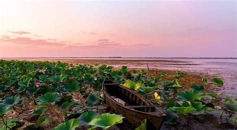 جاهای دیدنی انزلی 16 مقصد گردشگری بندر انزلی دوجینجا