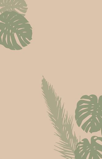 텍스트에 대 한 빈 공간이 있는 벡터 열 대 배경입니다 베이지색에 야자수와 몬스테라 잎 꽃 벽지 디자인 인사말 카드 스토리 게시물 포스터 배너에 대 한 템플릿입니다 고객
