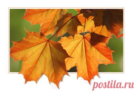 осенние листья Эффект объемного фото Постила