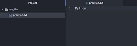 Pythonファイルの作成と読み込み open write read with seek