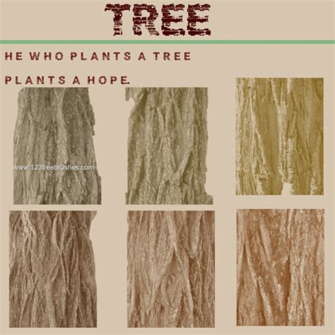 Tree Bark Downloading Brushes For Photoshop 123Freebrushes