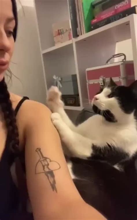 Kitty Wants A Kiss Via Tumbex