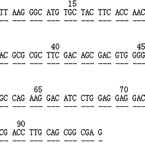 The Nucleotide Sequence A And The Amino Acid Sequence B Of Exon 3