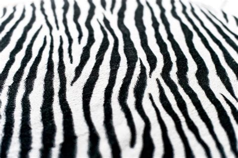 Premium Photo Full Frame Shot Of Zebra
