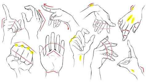 Cartoon Hand Drawing Poses