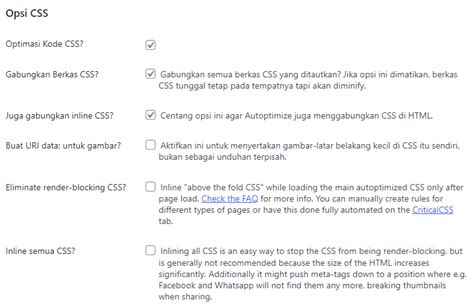 Cara Optimasi Kecepatan Website Menggunakan Plugin Autoptimize Speed Booster Pack 2022 Aceh