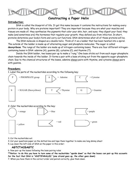 DNA Model Assignment Gulfport Babe District