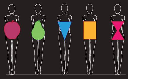 Royalty Free Body Shape Clip Art Vector Images And Illustrations Istock