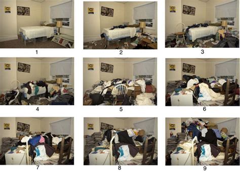 Saginaw Hoarding Task Force