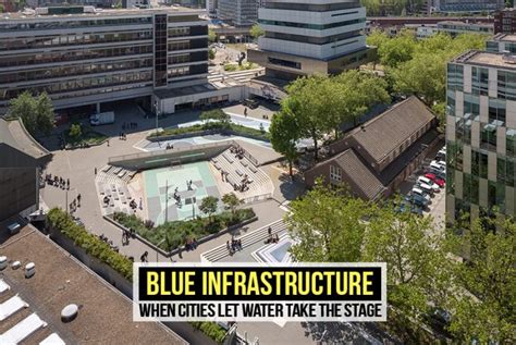 An Overview Of Bird Friendly Architecture Rtf Rethinking The Future