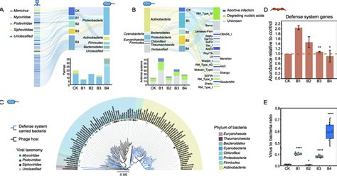 Analysis Of Phage Bacterium Interactions A Predicted Phage Host Download Scientific Diagram