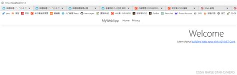 Aspnet环境配置and入门aspnet环境搭建 Csdn博客