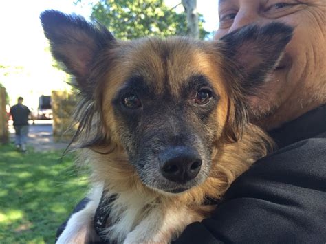 Thinking Pink Sweet Sammy