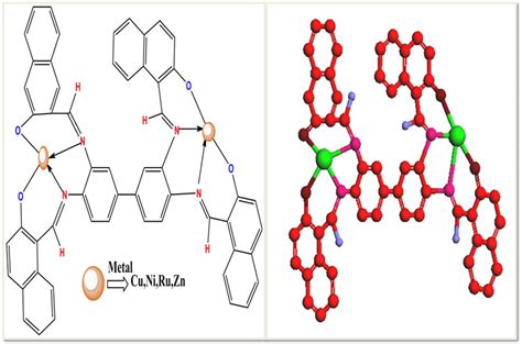 Structure Of Binuclear Metal Complex And 3d‐molecular Structure Of