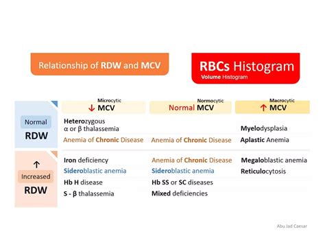 Rbc Histogram Pdf