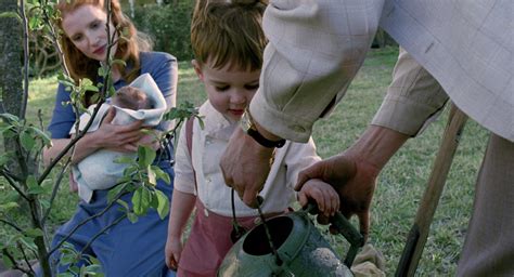 The Tree Of Life 312